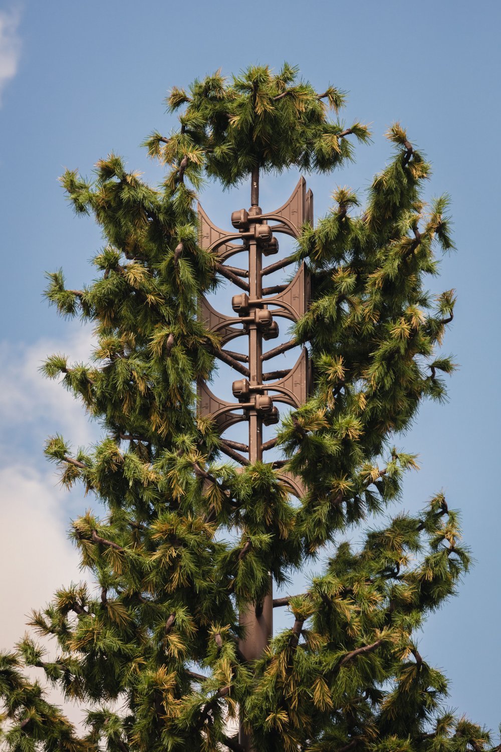 How the Emergency Warning System Works | Paradise, CA